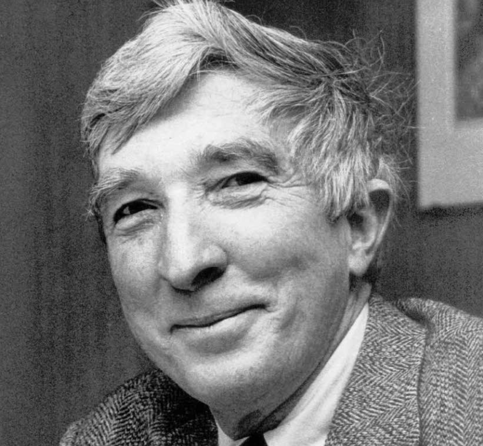 John Updike: The Maples Stories - Friends of Snow Library